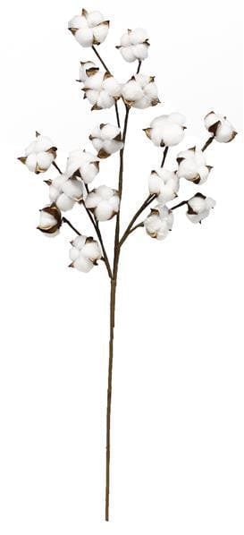 31.5"L Cotton Spray