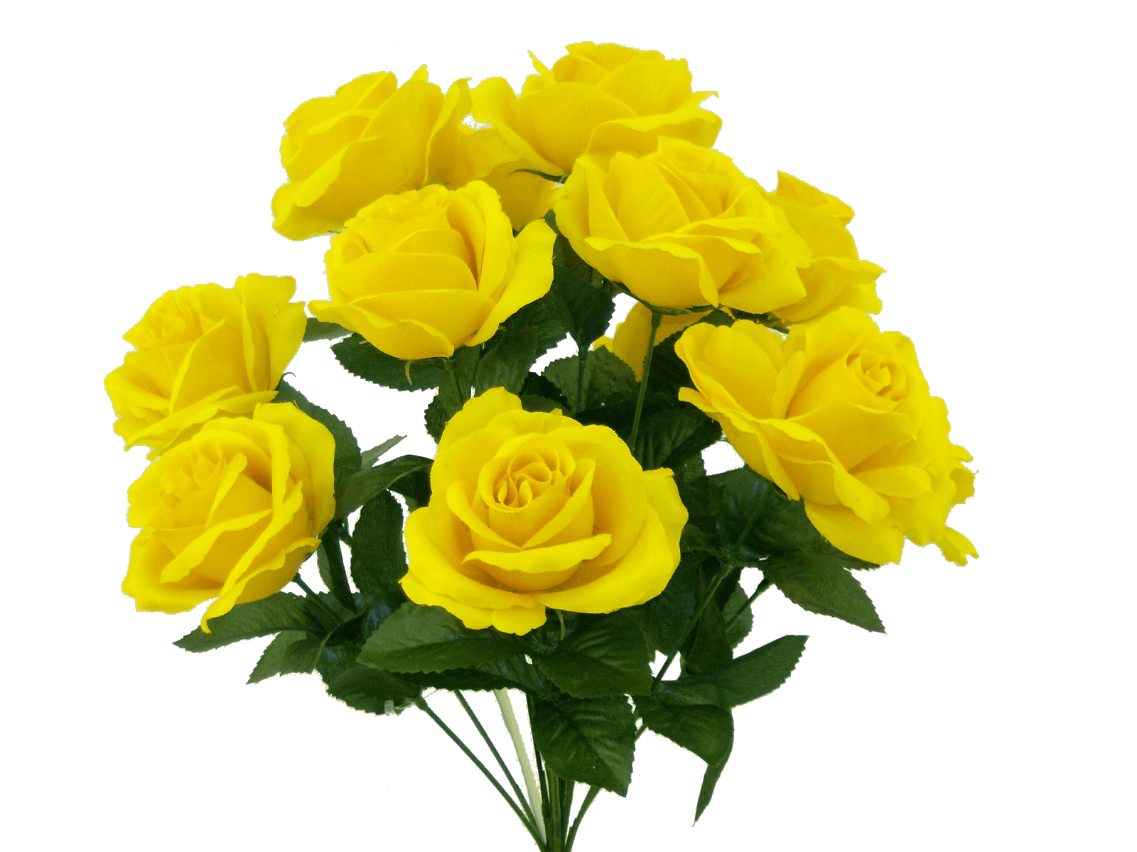 Color Fast Lillian Open Rose Bush-Golden Yellow