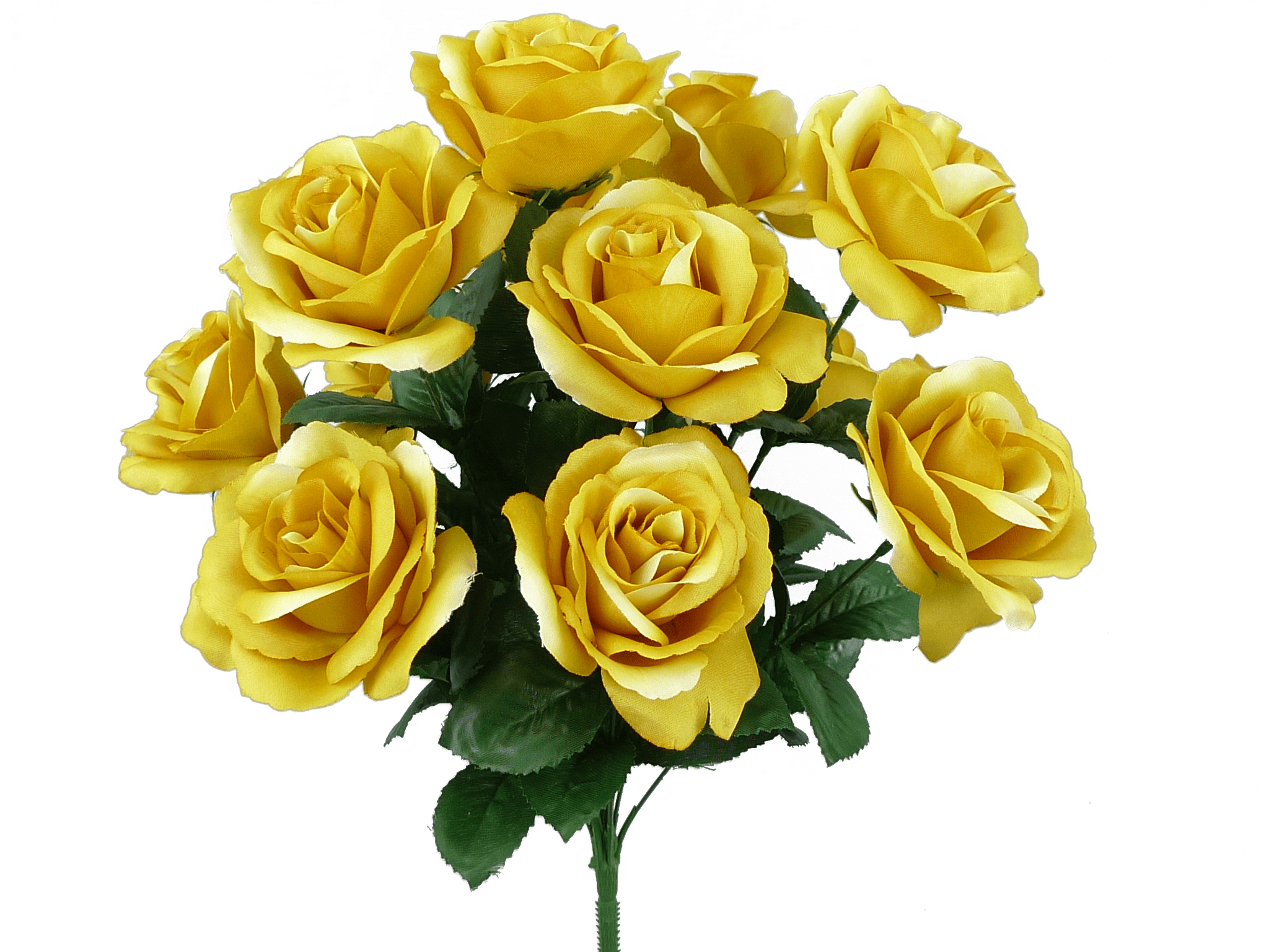 Color Fast Lillian Open Rose Bush-Mustard
