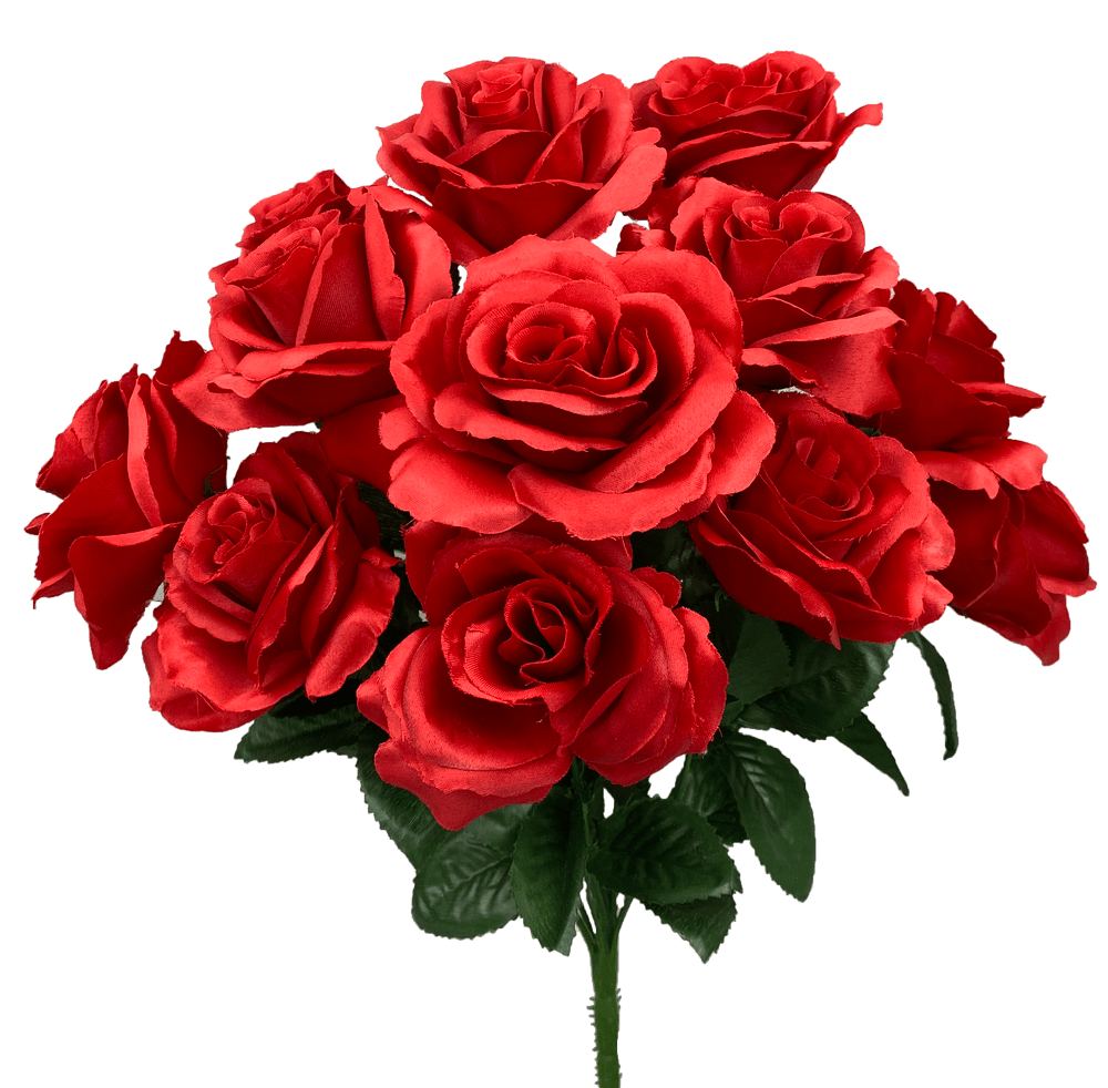 Color Fast Lillian Open Rose Bush-Red