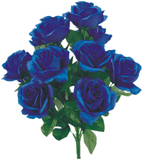 Roses