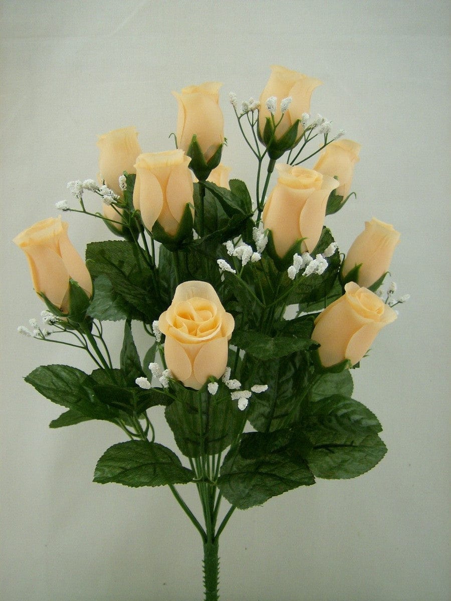 Color Fast Lillian Rose Bud Bush - Peach