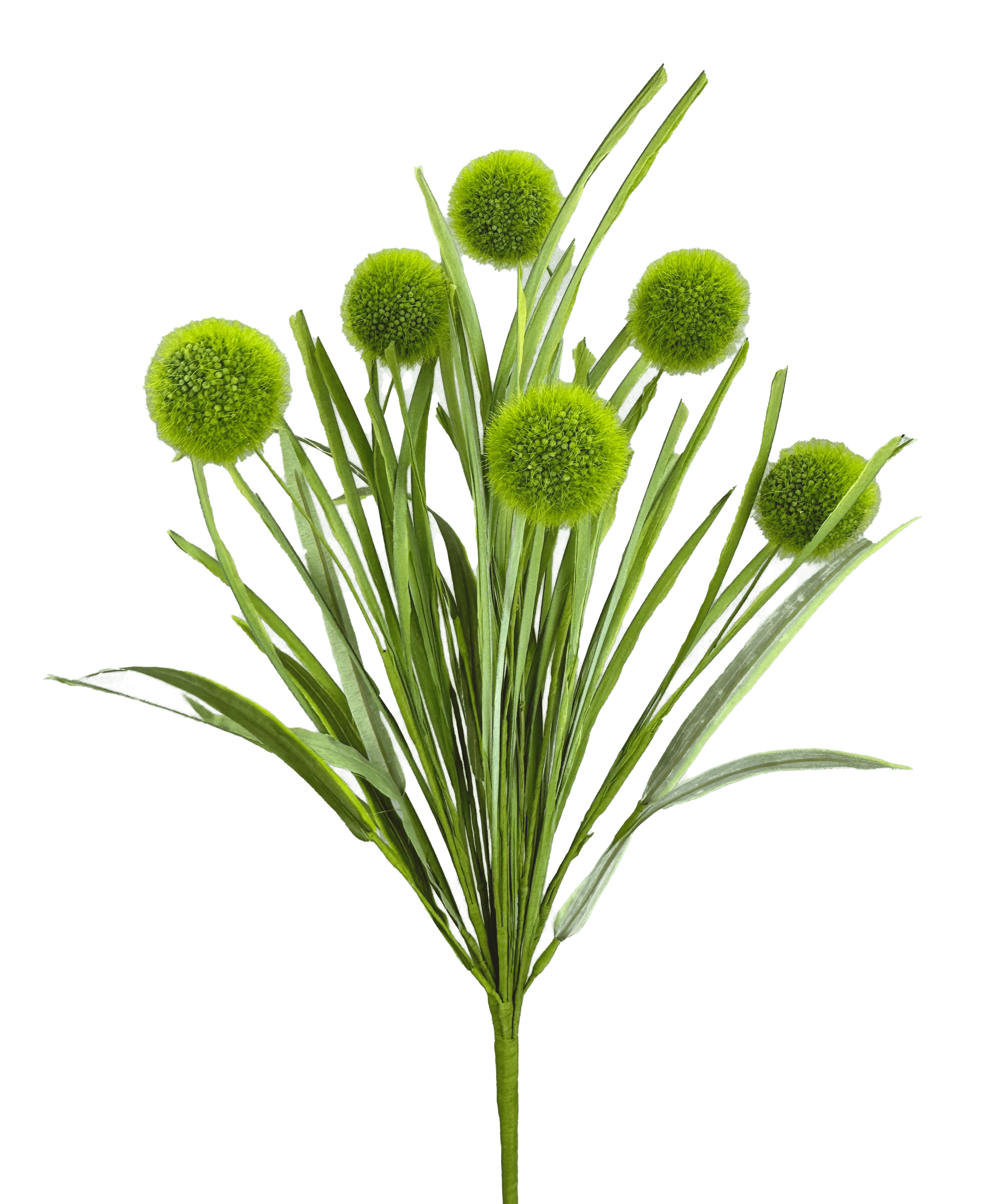 POM POM GRASS SPRAY X 5 H21 GREEN